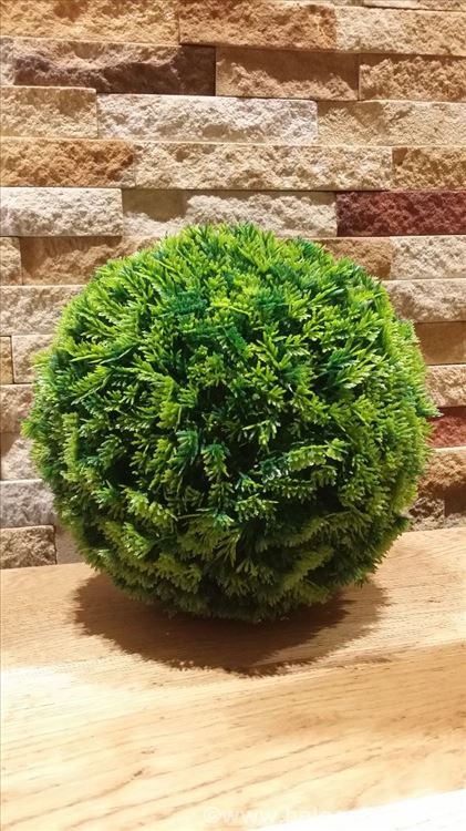 Zbun kugla loptasta tuja vestacko zelenilo 20 cm | Halo Oglasi