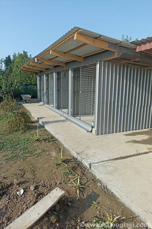 Pansion za pse (čuvanje pasa svih rasa) | Halo Oglasi