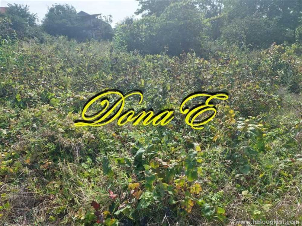 Ledena Stena, vredi pogledati | Halo Oglasi