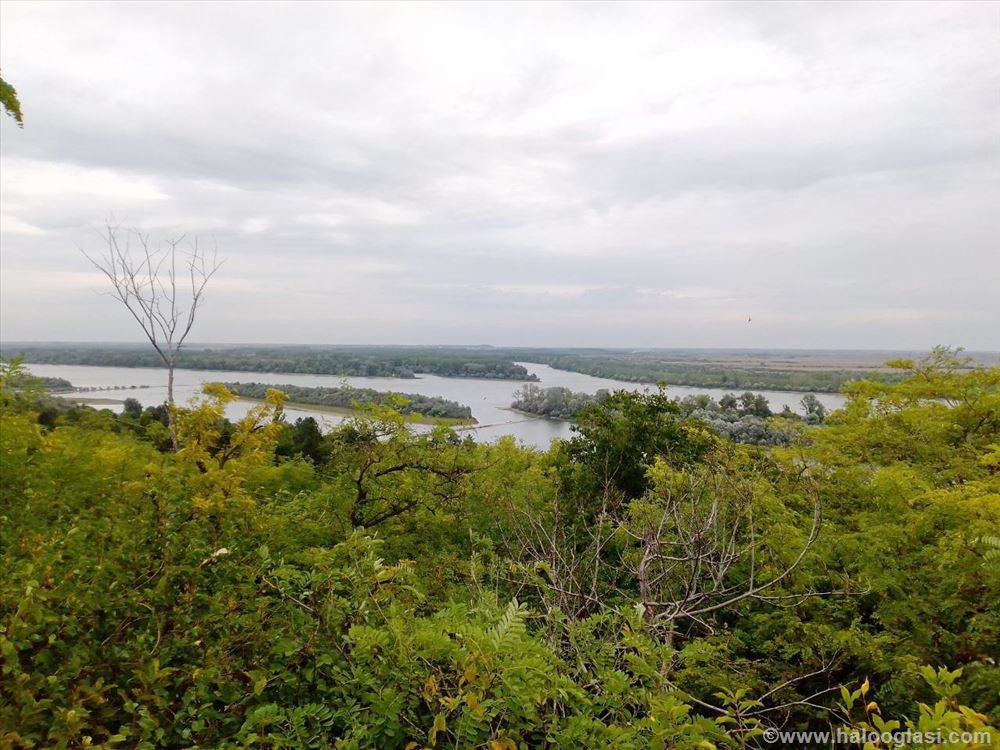 Novi Slankamen – Gudura 3 - 4208 m2 | Halo Oglasi