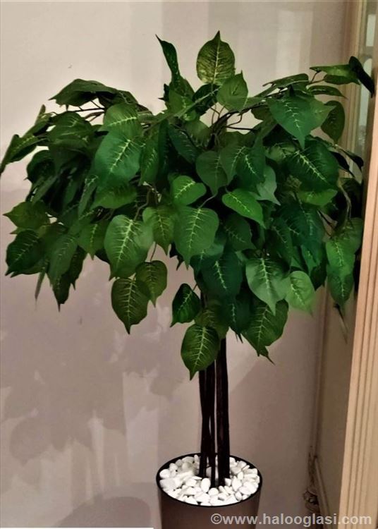 Veštačko drveće | Halo Oglasi