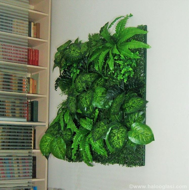 Veštački zeleni zidovi | Halo Oglasi