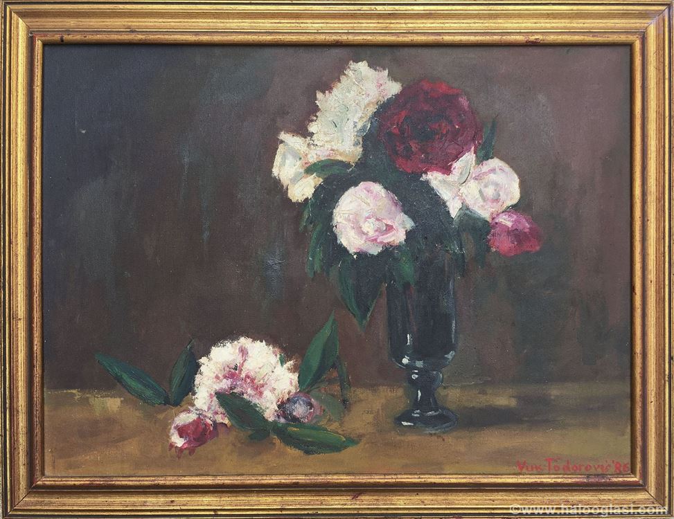 Vuk Todorović | Halo Oglasi