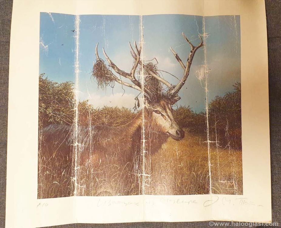 Dragan Malešević Tapi - Serigrafija | Halo Oglasi