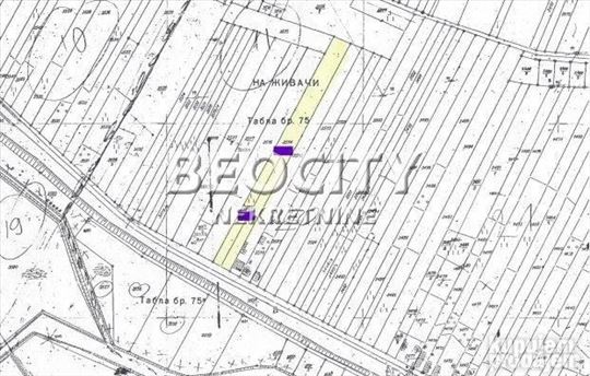 Prodaja zemljišta Boljevci | Halo oglasi