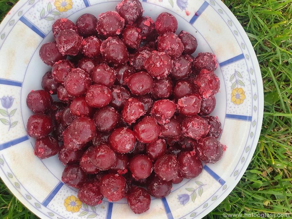 Zamrznute višnje | Halo Oglasi