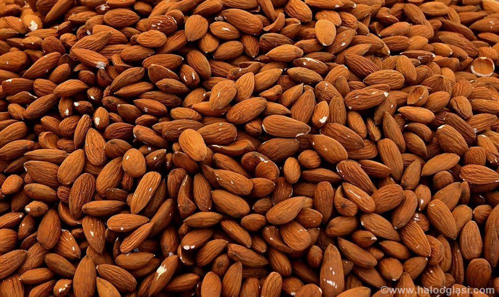 Sadnice Badema | Halo Oglasi