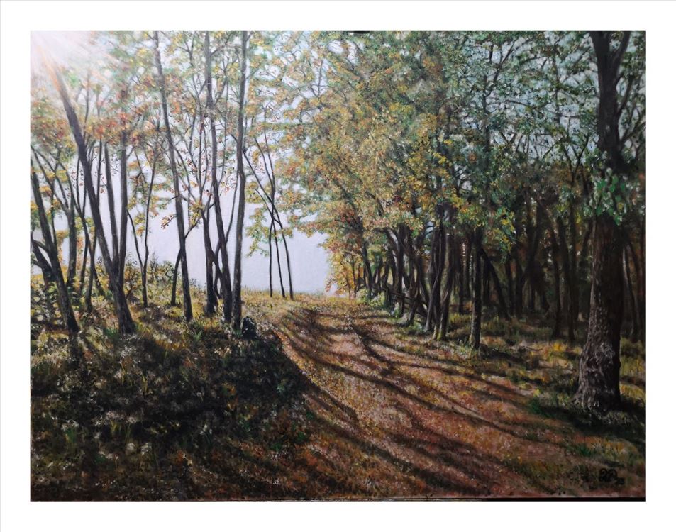 Seoski put u Radovanju. | Halo Oglasi