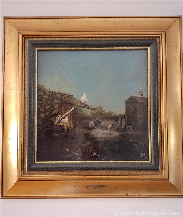 D.M.Tapi | Halo Oglasi