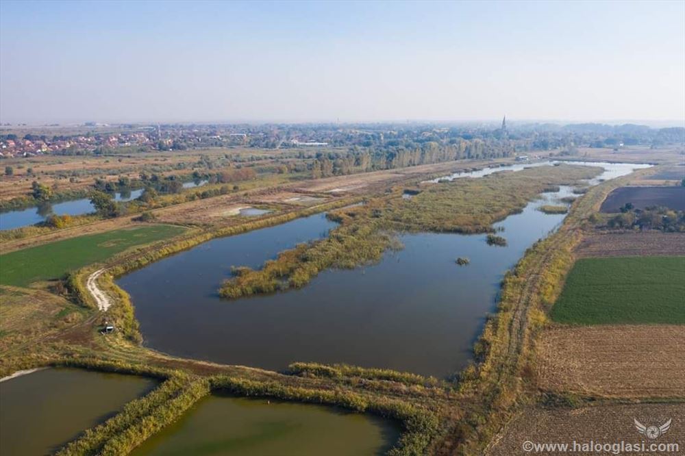 Prodaja ribnjaka "Carska jezera Ečka , Zrenjanin | Halo Oglasi