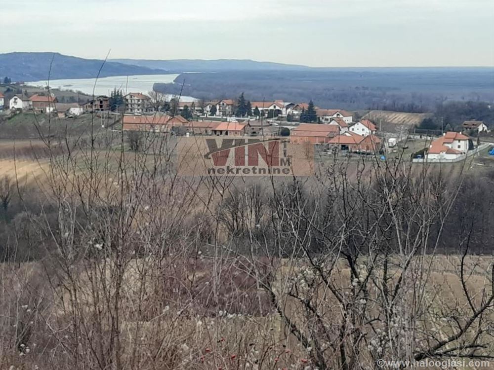 Grocka, Brestovik, 62 ara, divan pogled na Dunav | Halo Oglasi