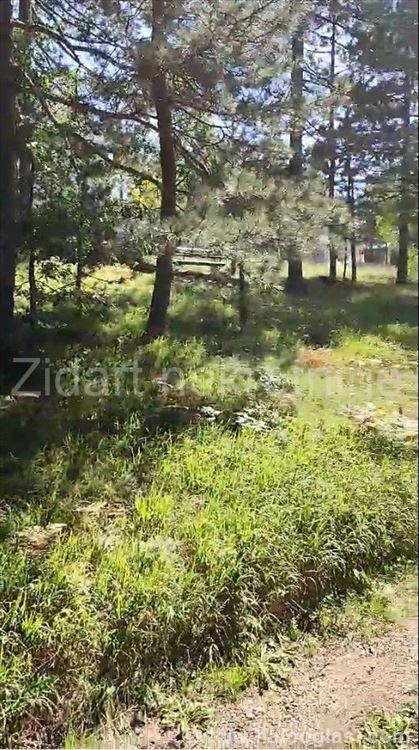 Divčibare, zemljište na prodaju | Halo Oglasi