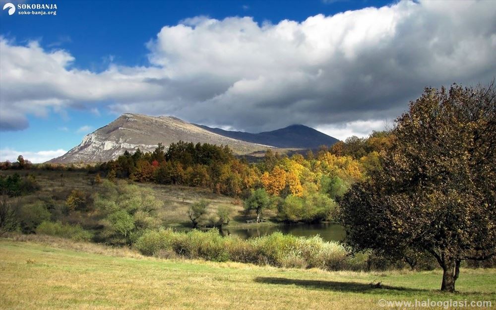 Boljevac | Halo Oglasi