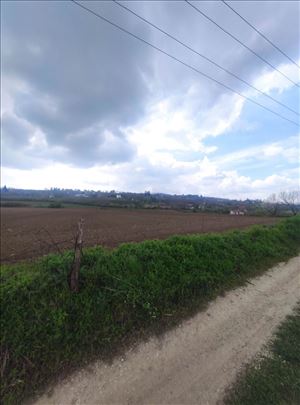 Prodaja zemljišta Inđija | Halo oglasi