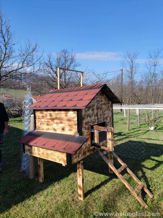 Kokošinjac | Halo Oglasi