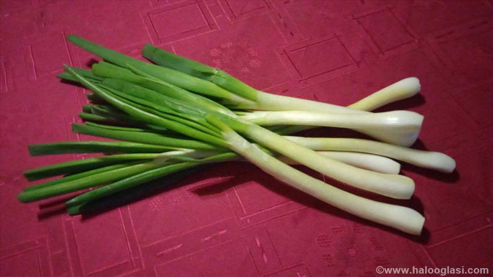 Luk mladi | Halo Oglasi