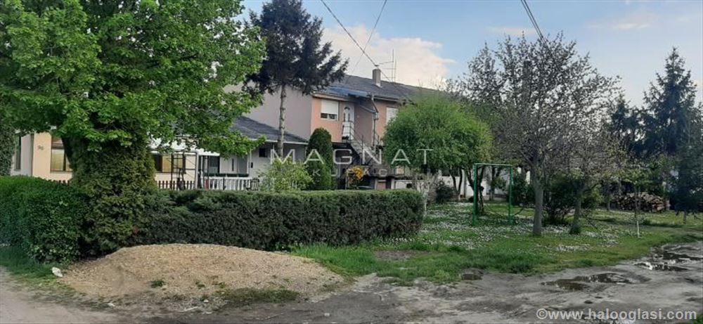 Padinska skela ID#3783 | Halo Oglasi