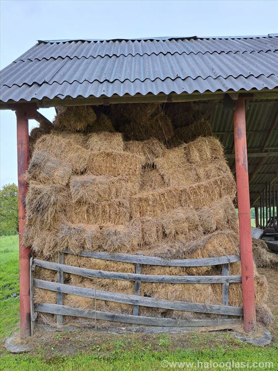 Bale sena na prodaju | Halo Oglasi