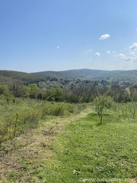 Fruška gora, Ležimir, plac 63 ara ID#1610 | Halo Oglasi