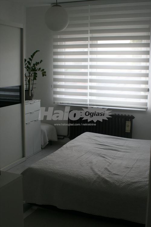 KUca Novi Sad Salajka | Halo Oglasi