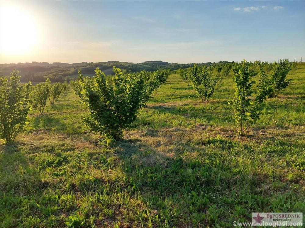 Barajevo, Vranić, Poteš, 334ara | Halo Oglasi