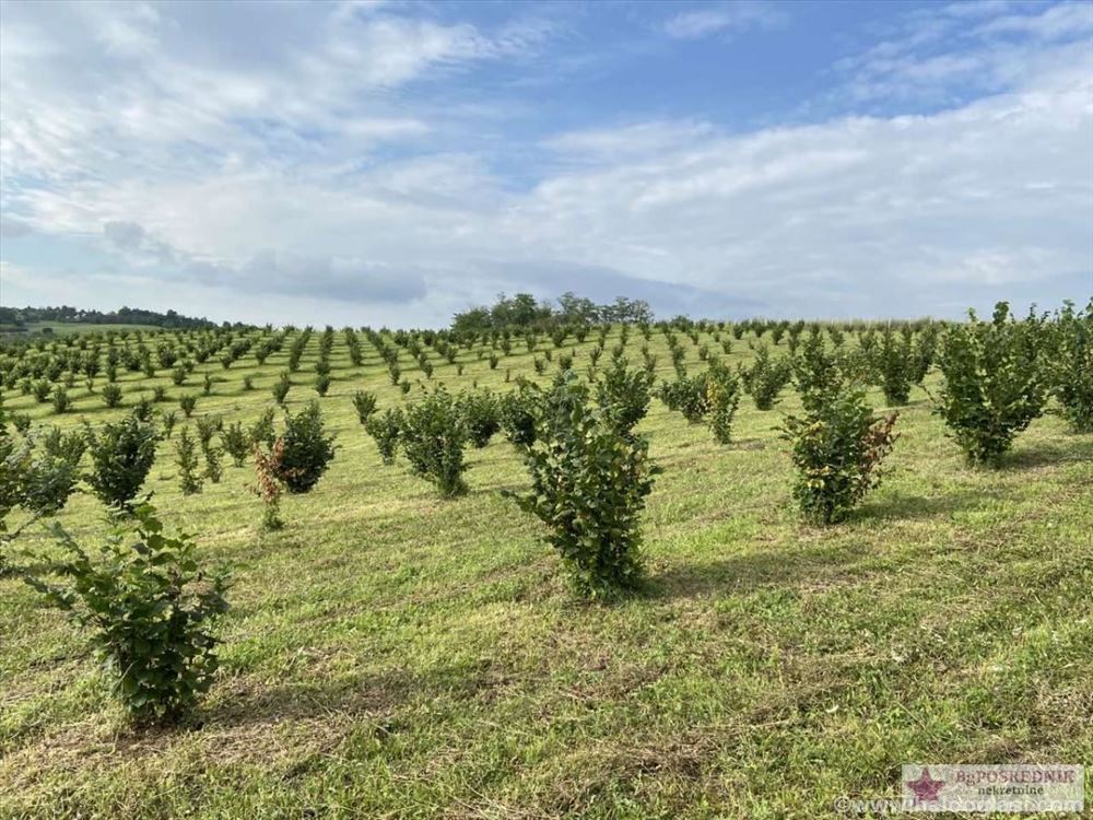 Barajevo, Vranić, Poteš, 334ara | Halo Oglasi