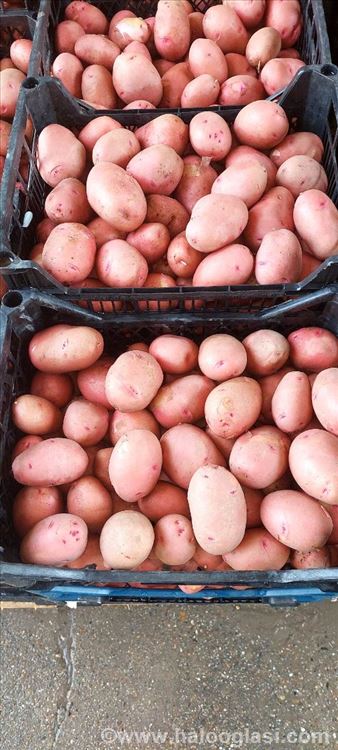 Mladi krompir - arizona i balatonska ruža | Halo Oglasi