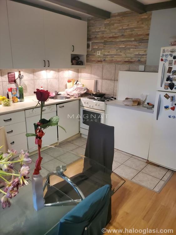 Lion - Lipov lad ID#3830 | Halo Oglasi