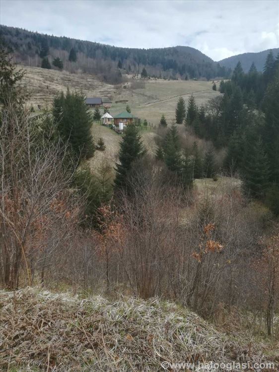 Tara zemljište od tri parcele Nacionalni park | Halo Oglasi