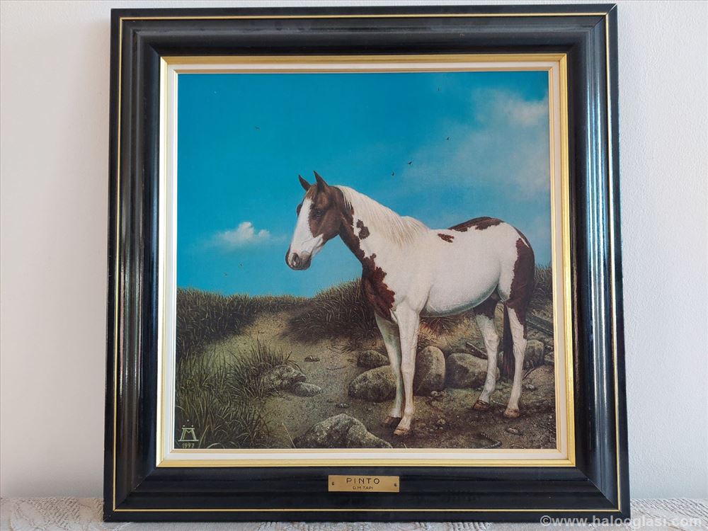 D. M. Tapi Pinto | Halo Oglasi