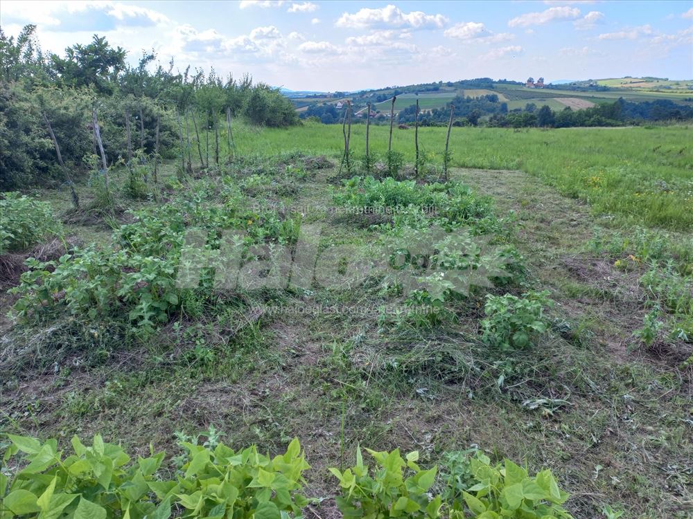 Plac, Donja Trnava, 30 ari | Halo Oglasi