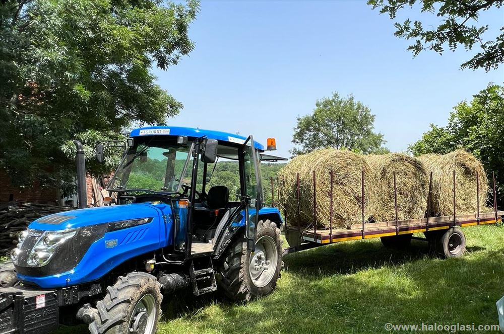 Lucerka u rolo bali | Halo Oglasi