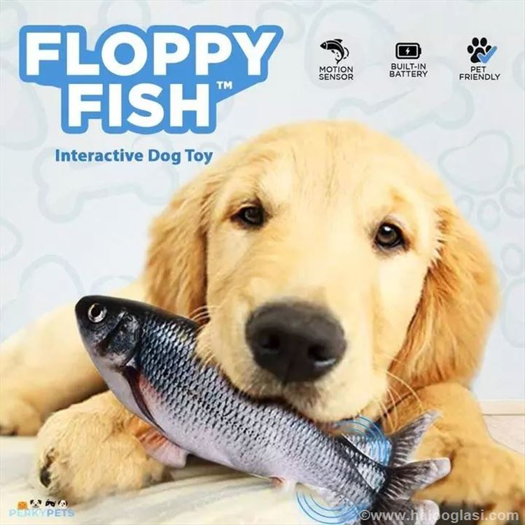 Floppy Fish - zabavna igračka za pse | Halo Oglasi