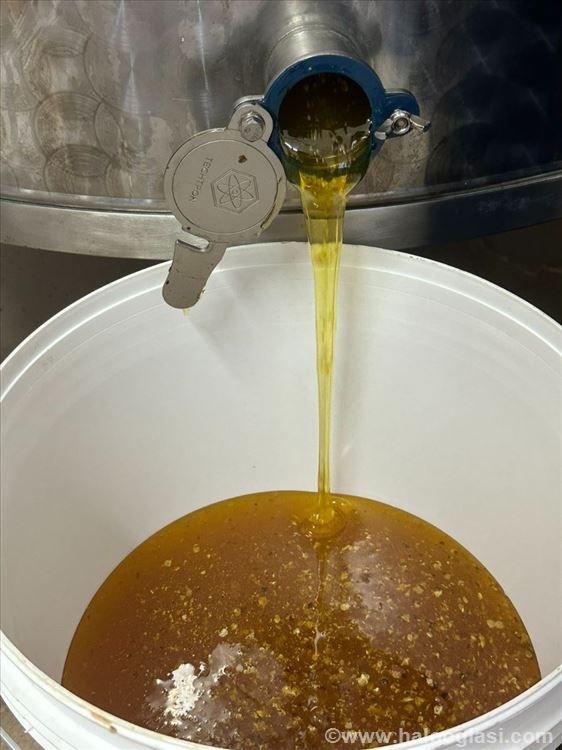 Prodaja meda na veliko | Halo Oglasi