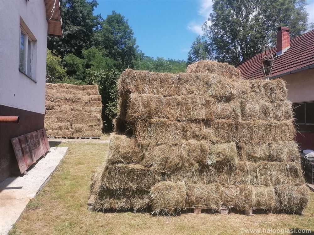 Bale sena | Halo Oglasi