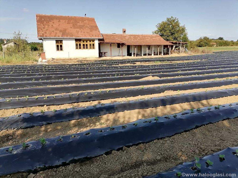 KUĆA I PLAC U POČEKOVINI | Halo Oglasi
