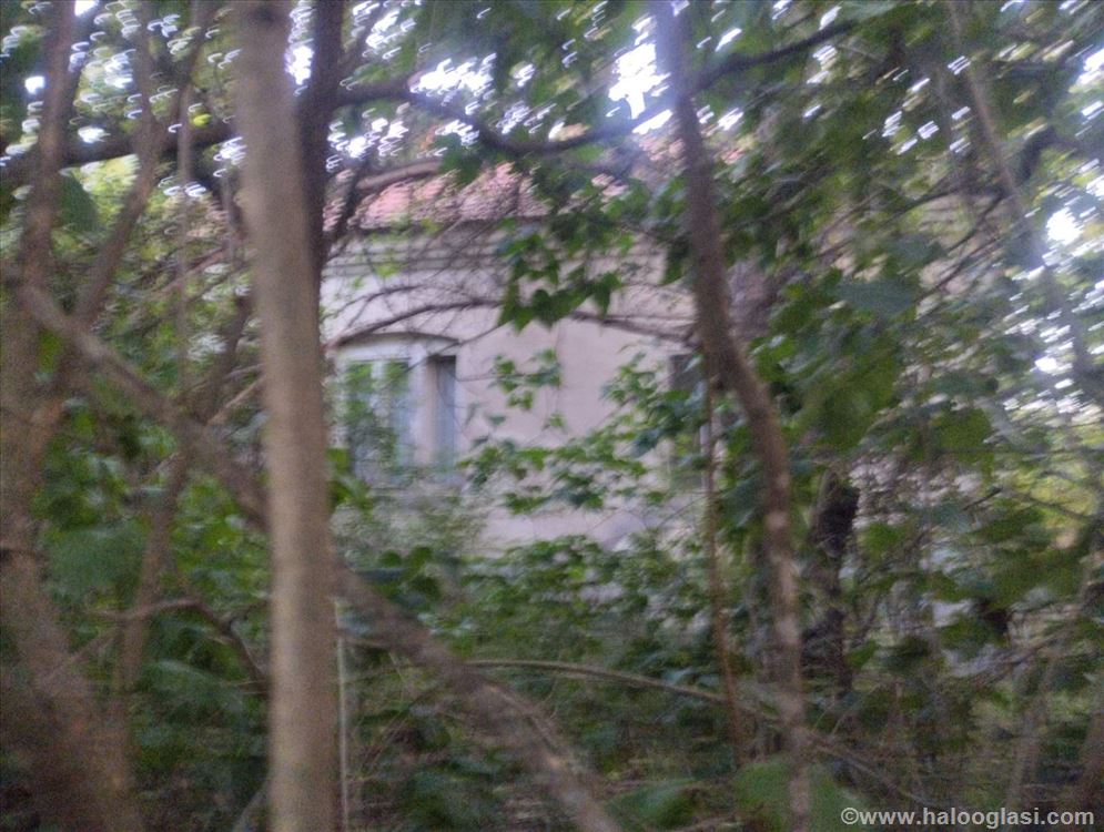 Rača Kragujevačka 1,6 h, stara kuća, uknjiženo | Halo Oglasi