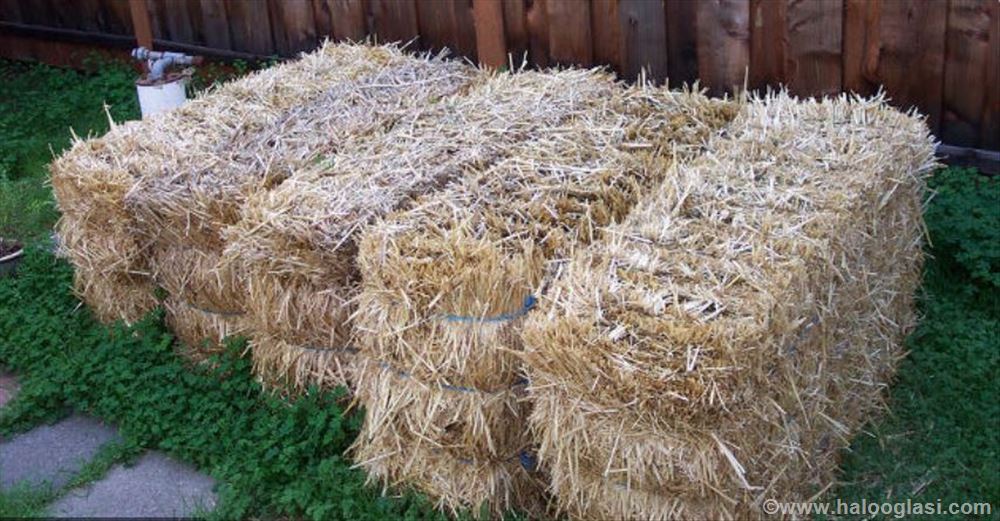 Bale sena | Halo Oglasi
