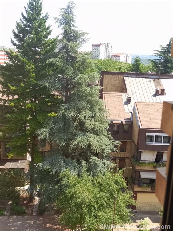 Cerak vinogradi - Omorika ID#3938 | Halo Oglasi