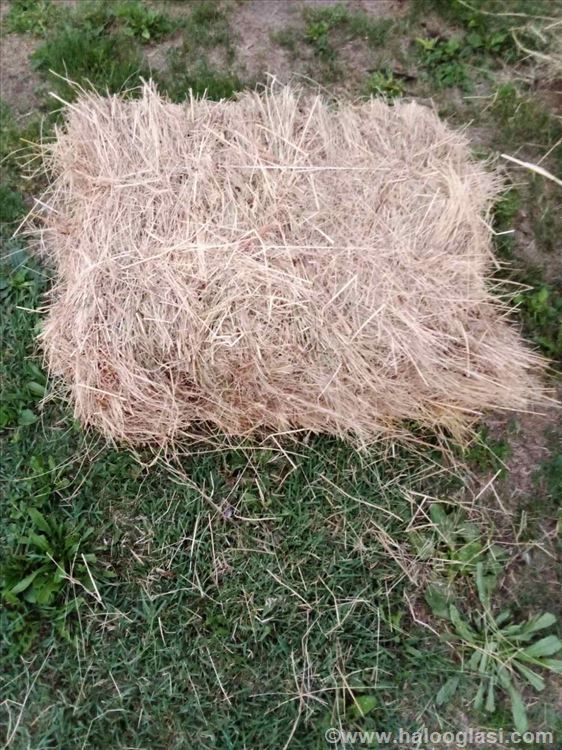 Na prodaju livadsko seno | Halo Oglasi