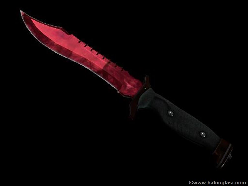 CSGO skin Bowie Knife | Doppler (Ruby) | Halo Oglasi