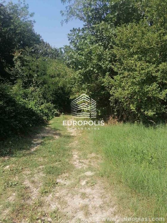 Bukovačka, Vranić, Barajevo | Halo Oglasi