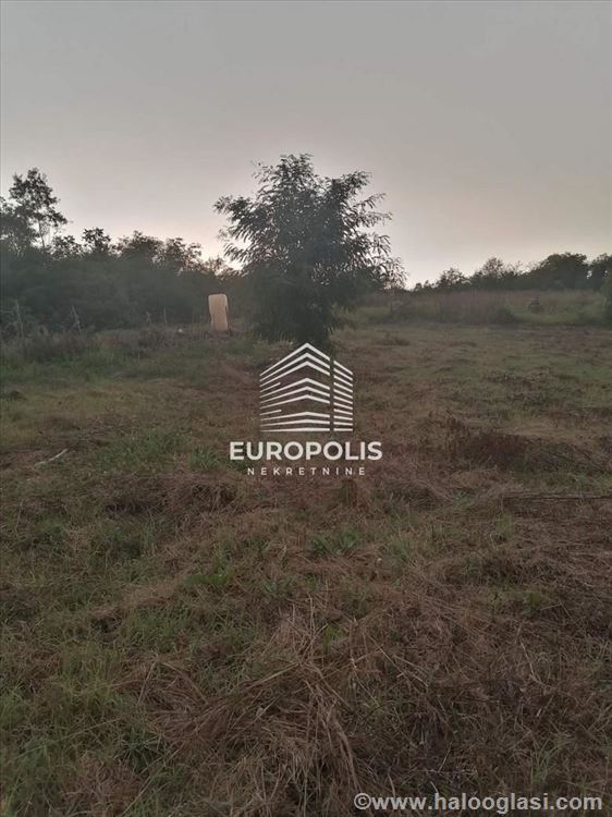 Grobljanska, Umčari, Grocka ID#1413 | Halo Oglasi