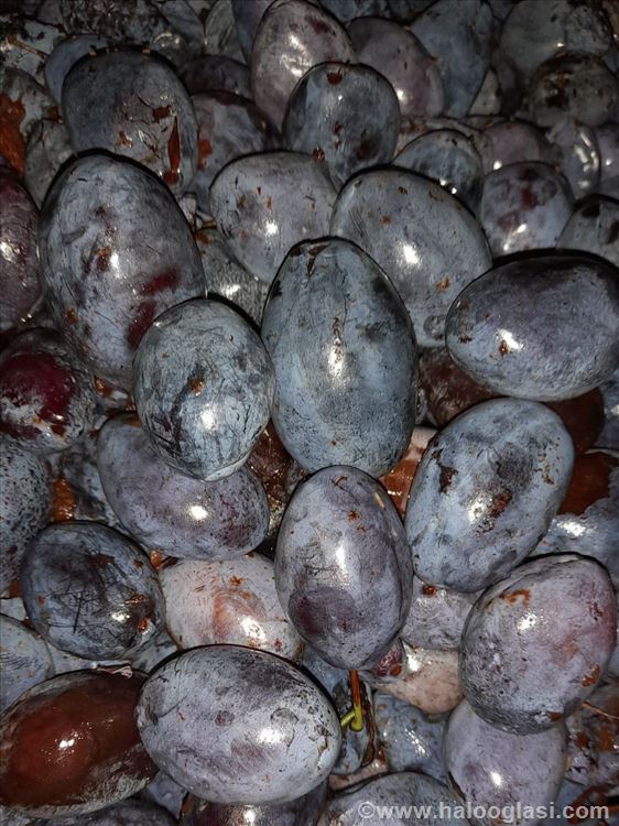 Sljive za rakiju | Halo Oglasi