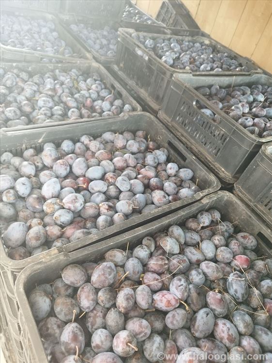 Šljiva za rakiju | Halo Oglasi