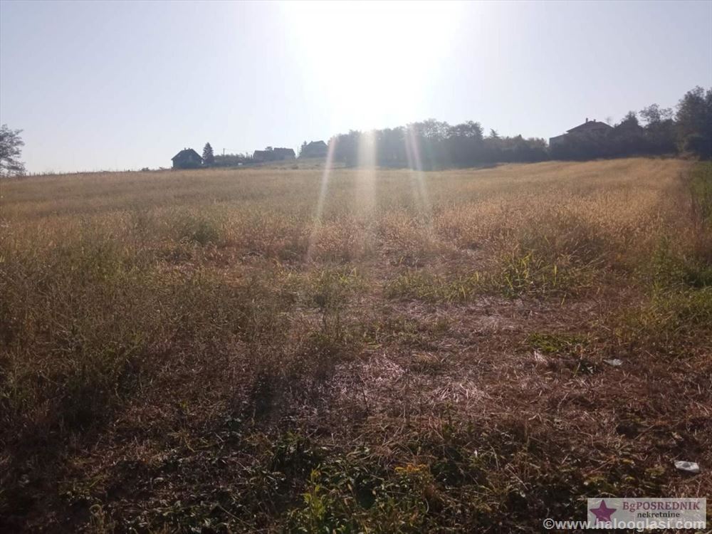 Barajevo, Vranić, Velike dubrave, 68.25 ari | Halo Oglasi