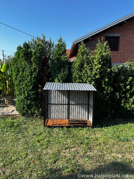 Boks za pse | Halo Oglasi