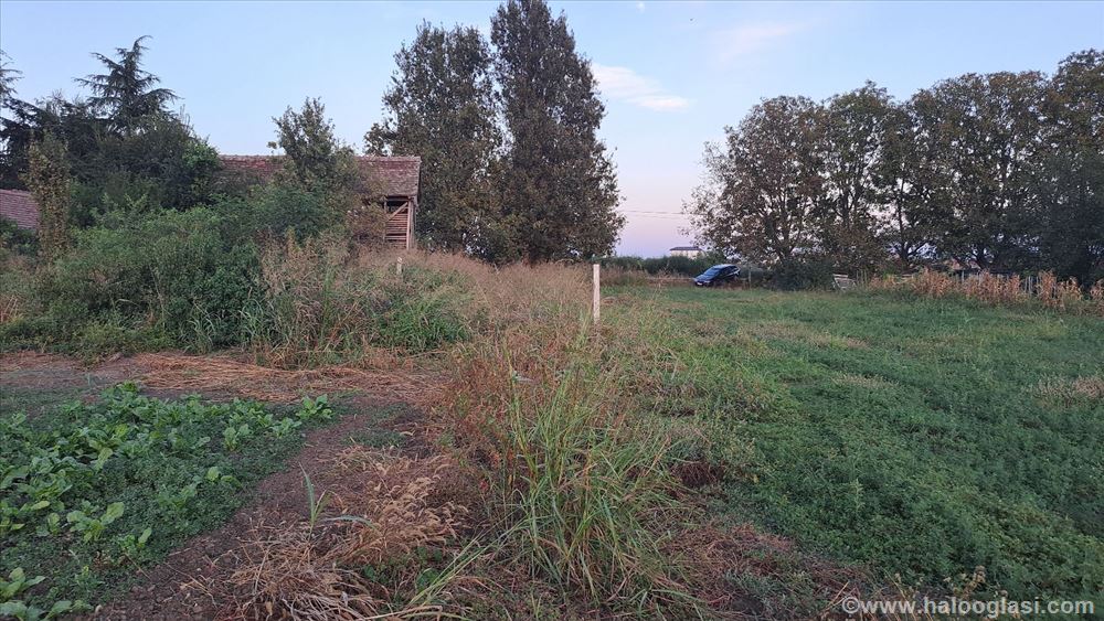 Borča III, uknjižen plac u zoni porodične gradnje | Halo Oglasi