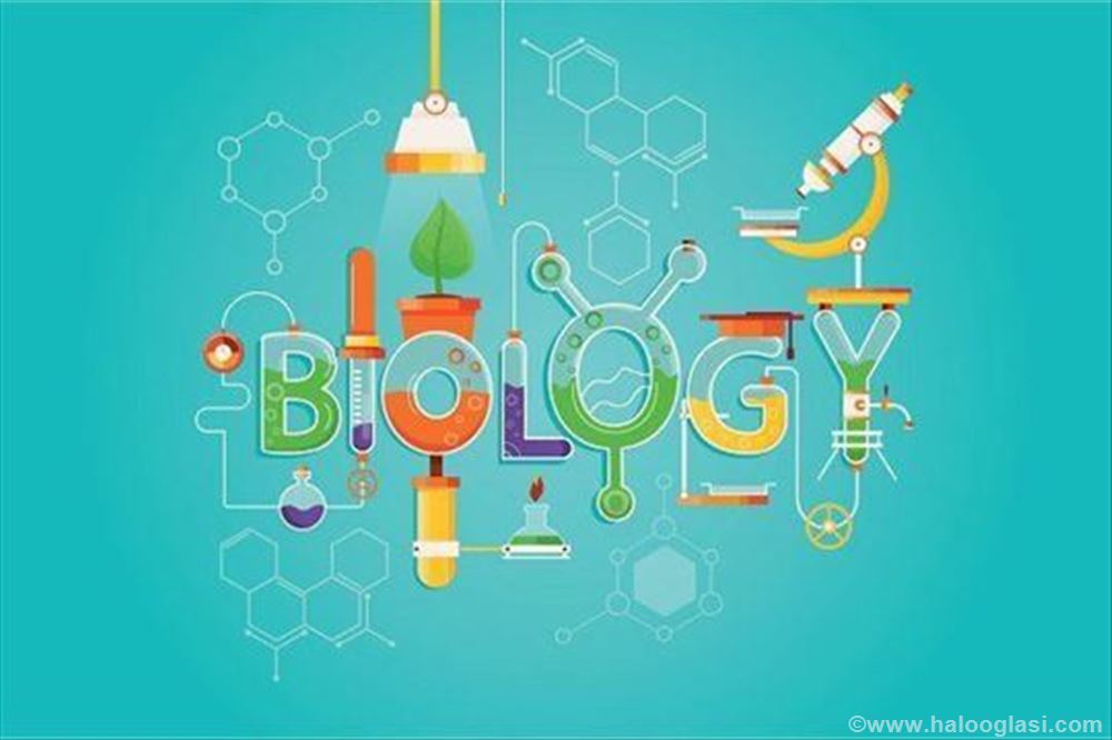 Pripremna nastava iz biologije - Start u januaru | Halo Oglasi