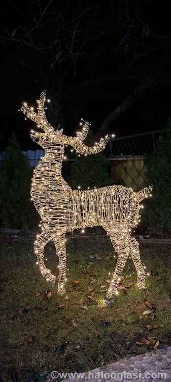 Svetleći irvas | Halo Oglasi